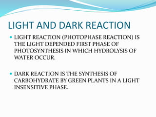 A presentation about photosynthesis | PPTX