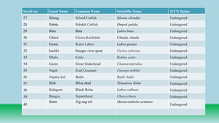 A presentation on Fish Diversity of the Meghna River for BFRF ...