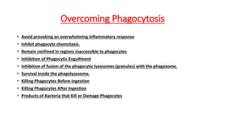 A presentation on basic immunology | PPTX