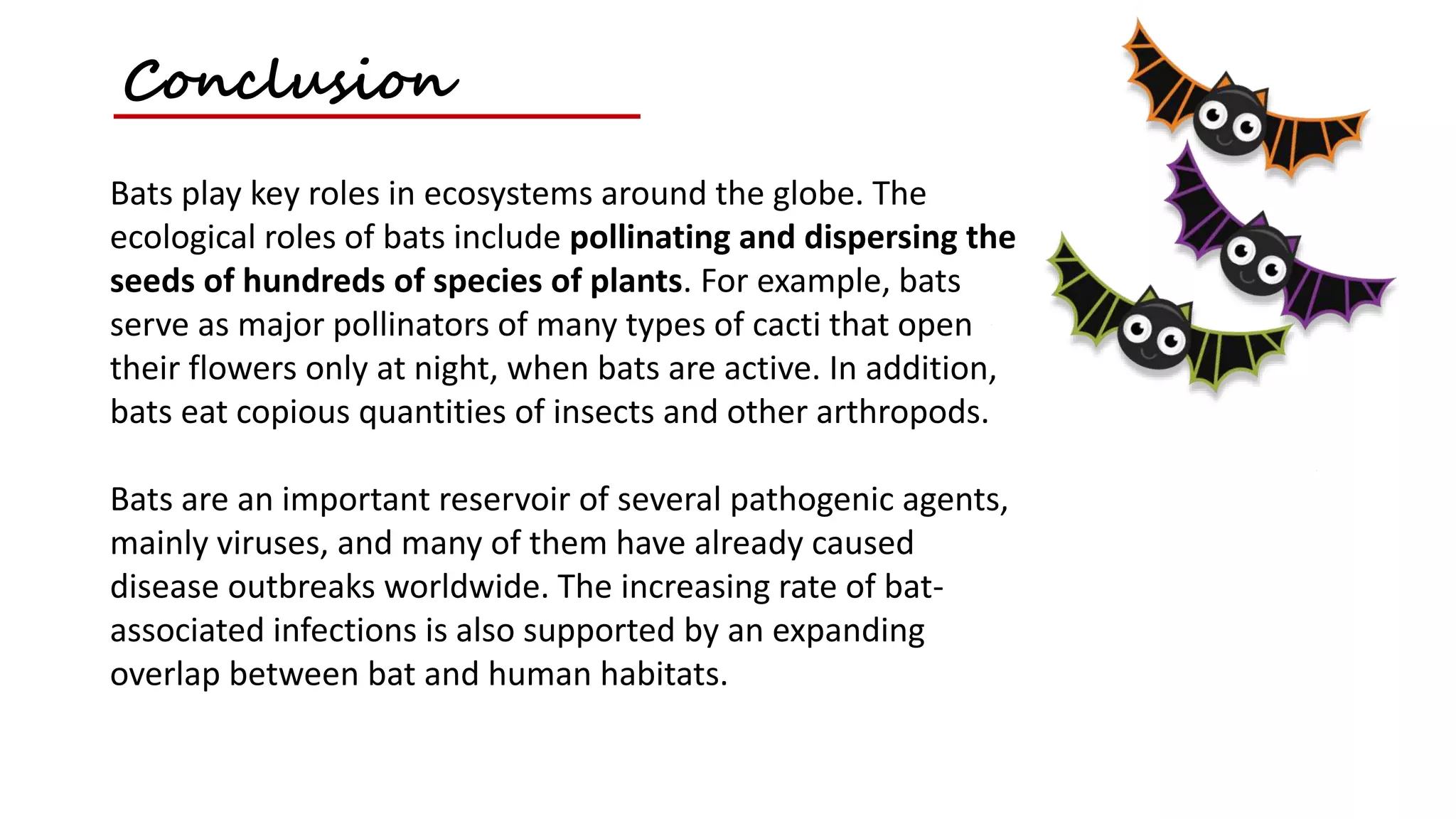A presentation on Bat.pptx