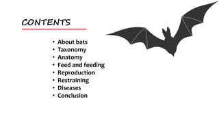 A presentation on Bat.pptx