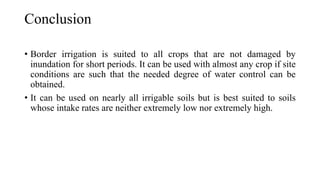 A presentation on border irrigation system by Mostafijur Rahman | PPTX