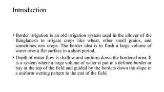 A presentation on border irrigation system by Mostafijur Rahman | PPTX