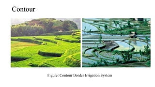 A presentation on border irrigation system by Mostafijur Rahman | PPTX