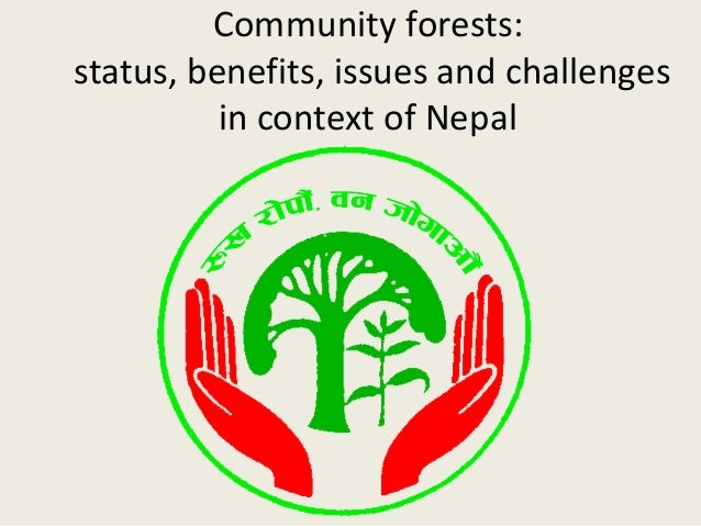 A presentation on community forest