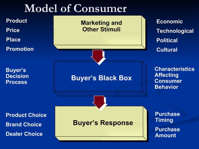 consumer behaviour | PPT