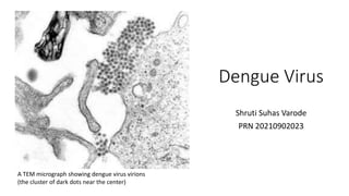 A presentation on the dengue virus, disease, and epidemiology | PPTX