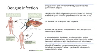 A presentation on the dengue virus, disease, and epidemiology | PPTX