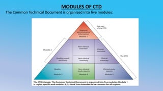 A PRESENTATION ON DOSSIER.pptx
