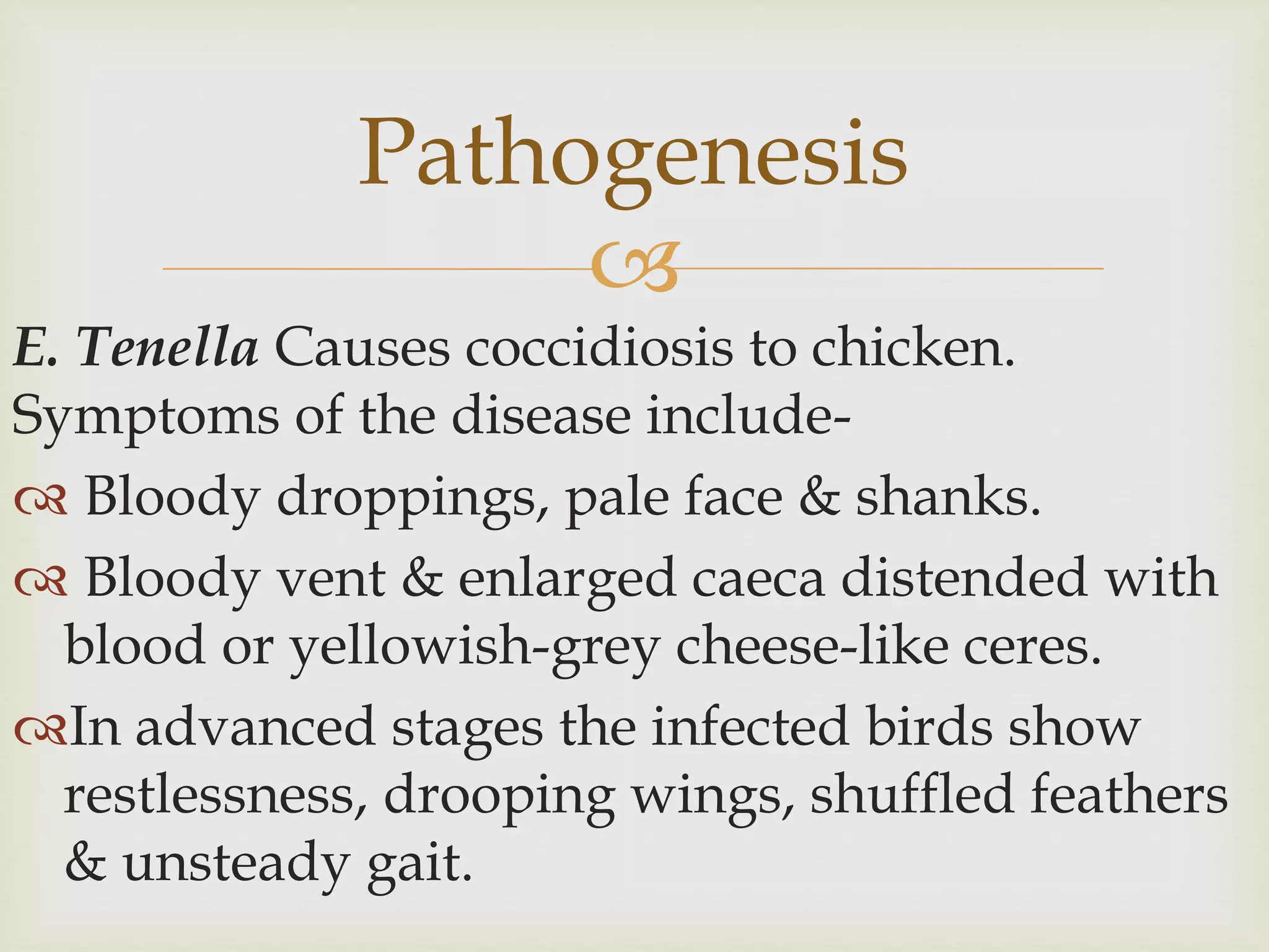 A presentation on eimeria | PPTX