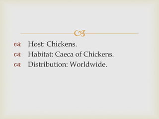 A presentation on eimeria | PPTX