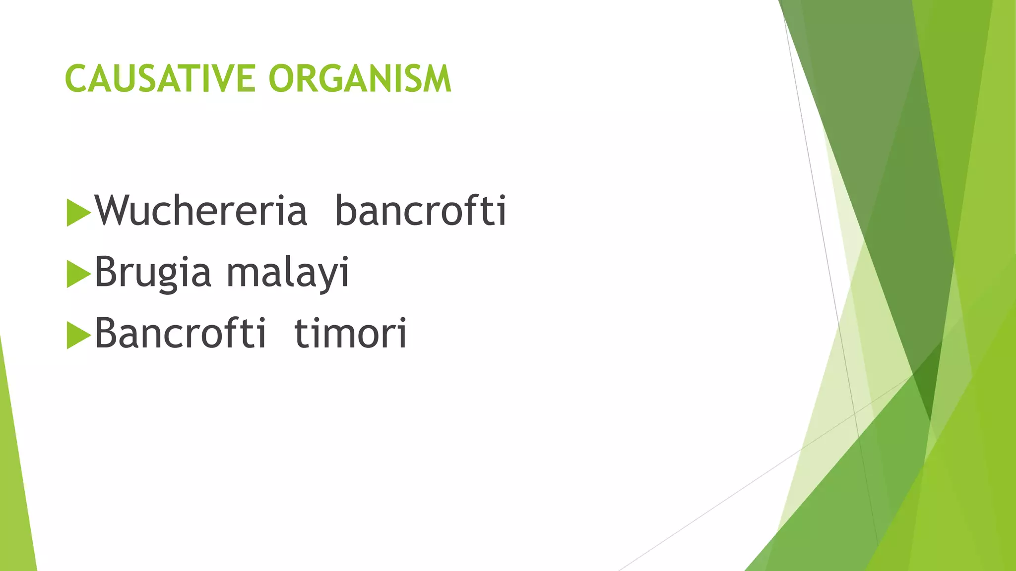 A presentation on Elephantiasis.pptx