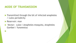 A presentation on Elephantiasis.pptx