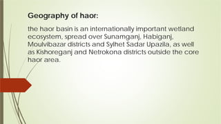 A presentation on fisheries management of haor | PDF | Fishing Sports ...