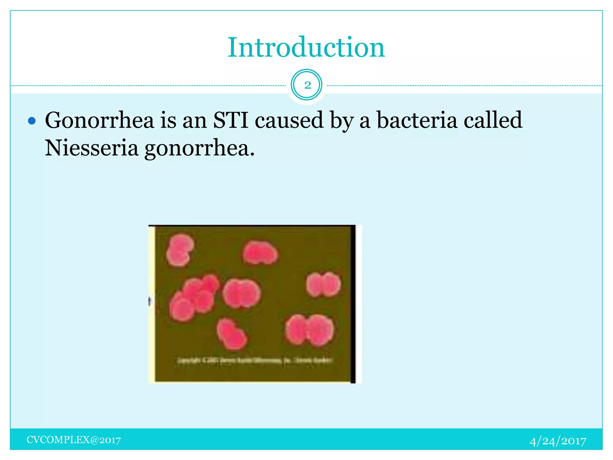 A presentation on gonorrhea | PPTX