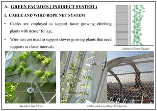 A presentation on green roofs and green walls | PDF