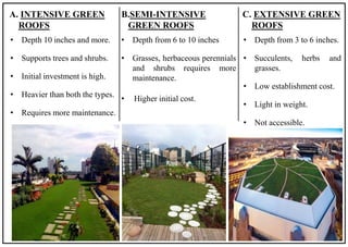 A presentation on green roofs and green walls | PDF