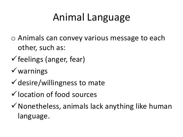 A presentation on human language vs animal communication