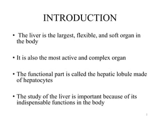 A presentation on Liver Inflammation .pptx