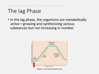 Microbial Growth and Nutrition, and Clones, Enzymes and Informative ...