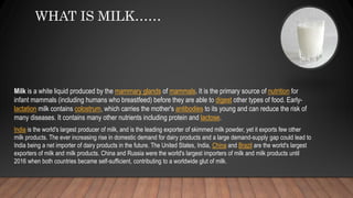 A presentation on milk | PPTX