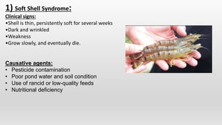 A presentation on nutritional pathology of fish & shriamp; | PPTX