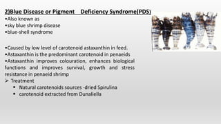 A presentation on nutritional pathology of fish & shriamp; | PPTX