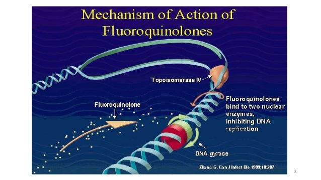 A presentation on quinolones