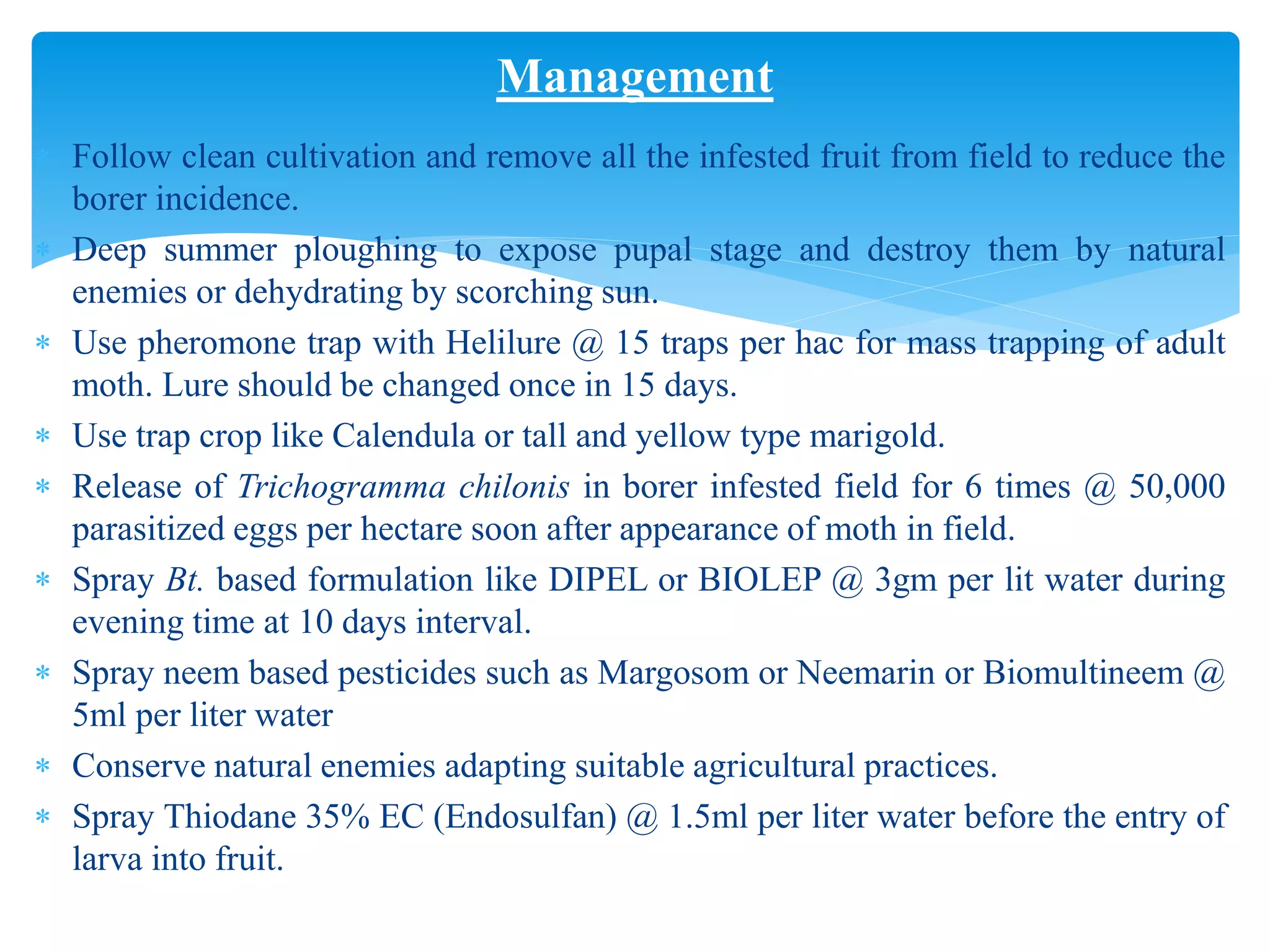 A presentation on rearing of helicoverpa armygera. | PPTX