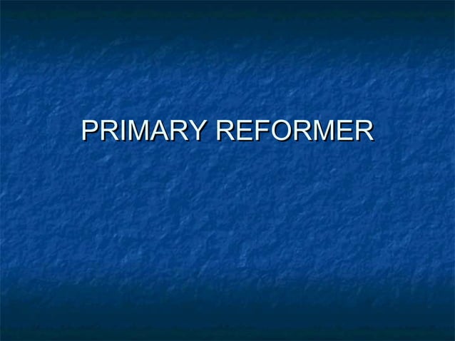 A presentation on reformer new | PPT | Chemistry | Science