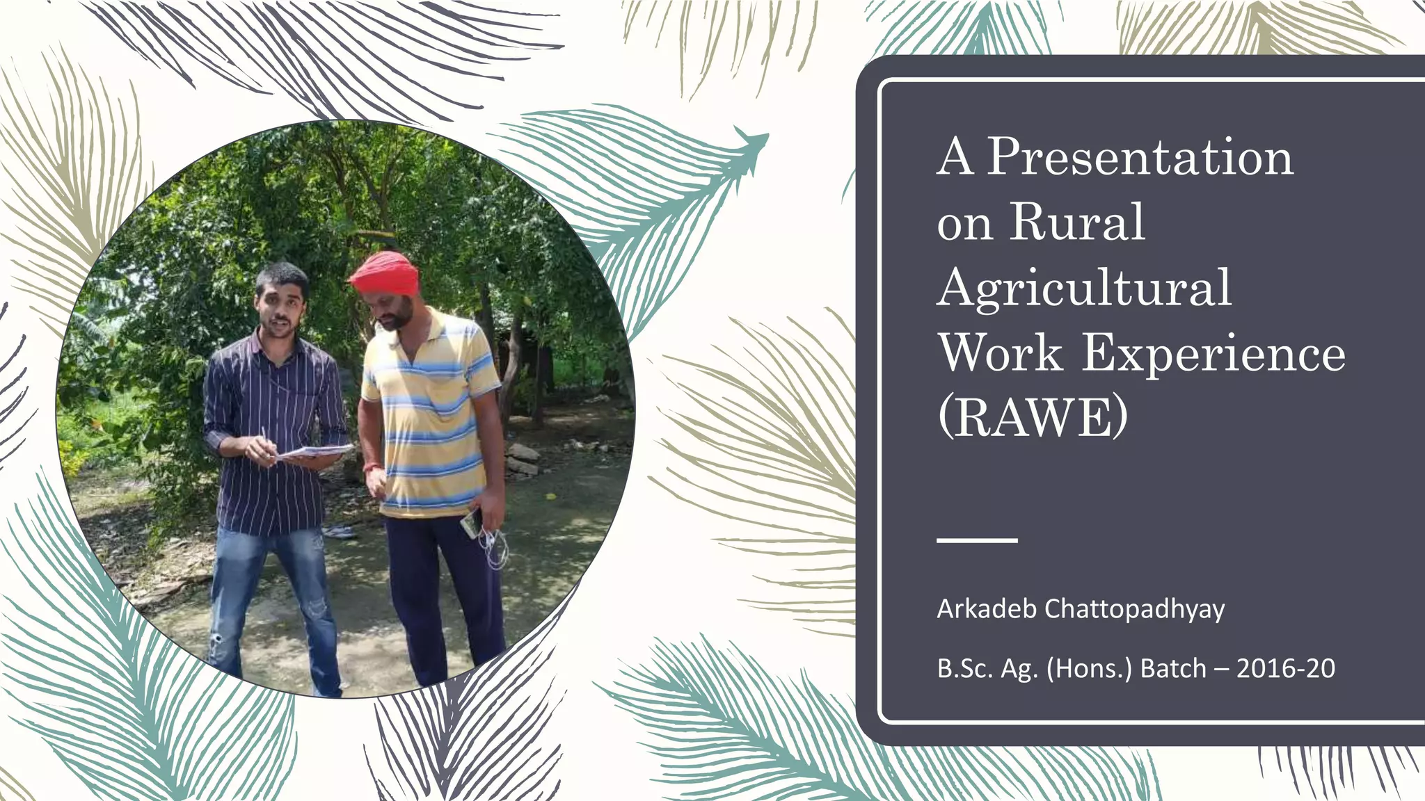 A Presentation on Rural Agricultural Work Experience (RAWE) | PPTX