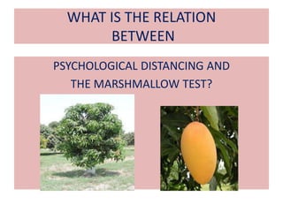 A Presentation on the Marshmallow test and Psychological Distancing. | PPTX