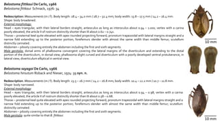 Redescription of two remarkable species of Belostoma Lauck from ...
