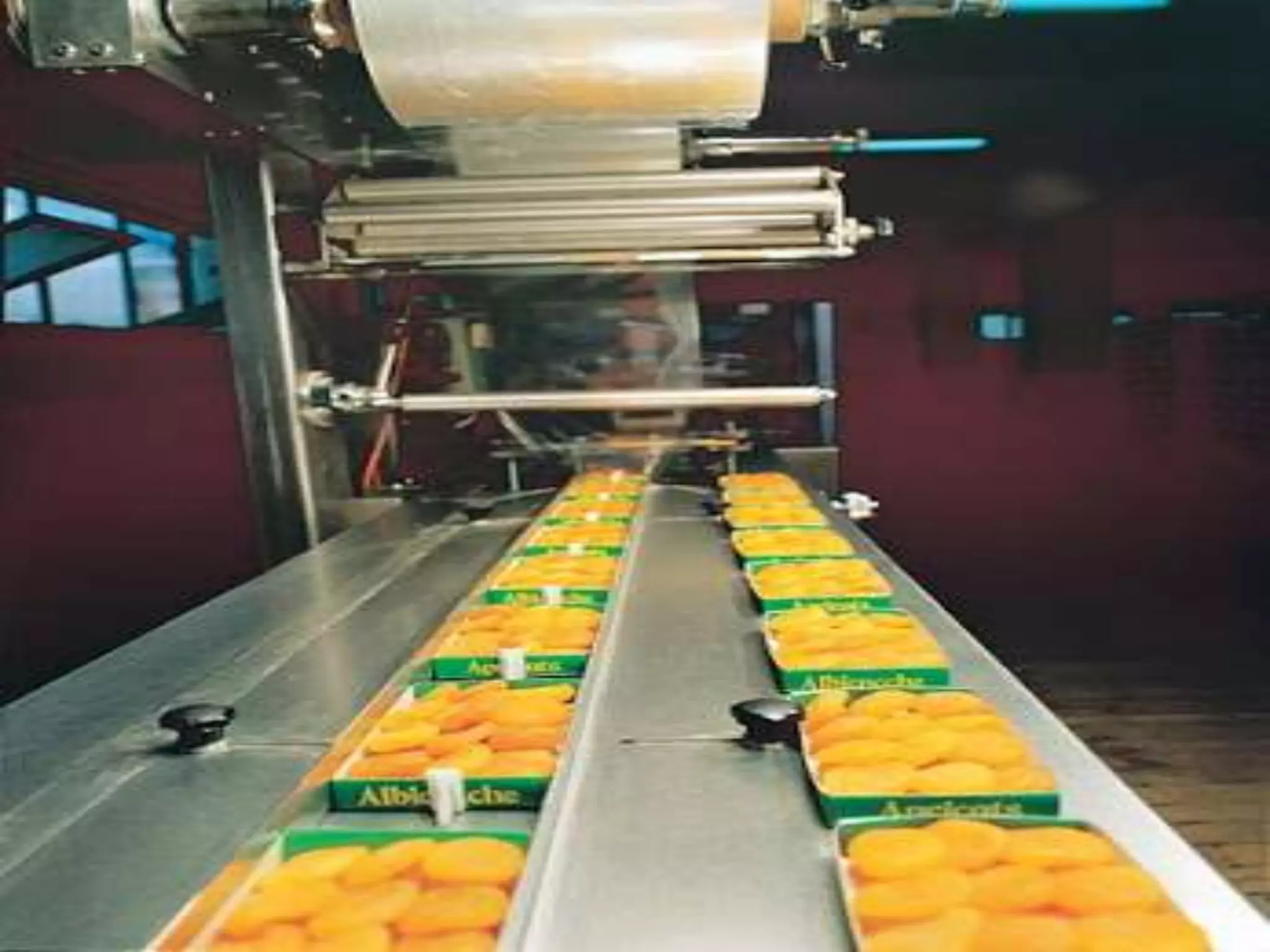 Post Harvest Handling of Apricot.pptx