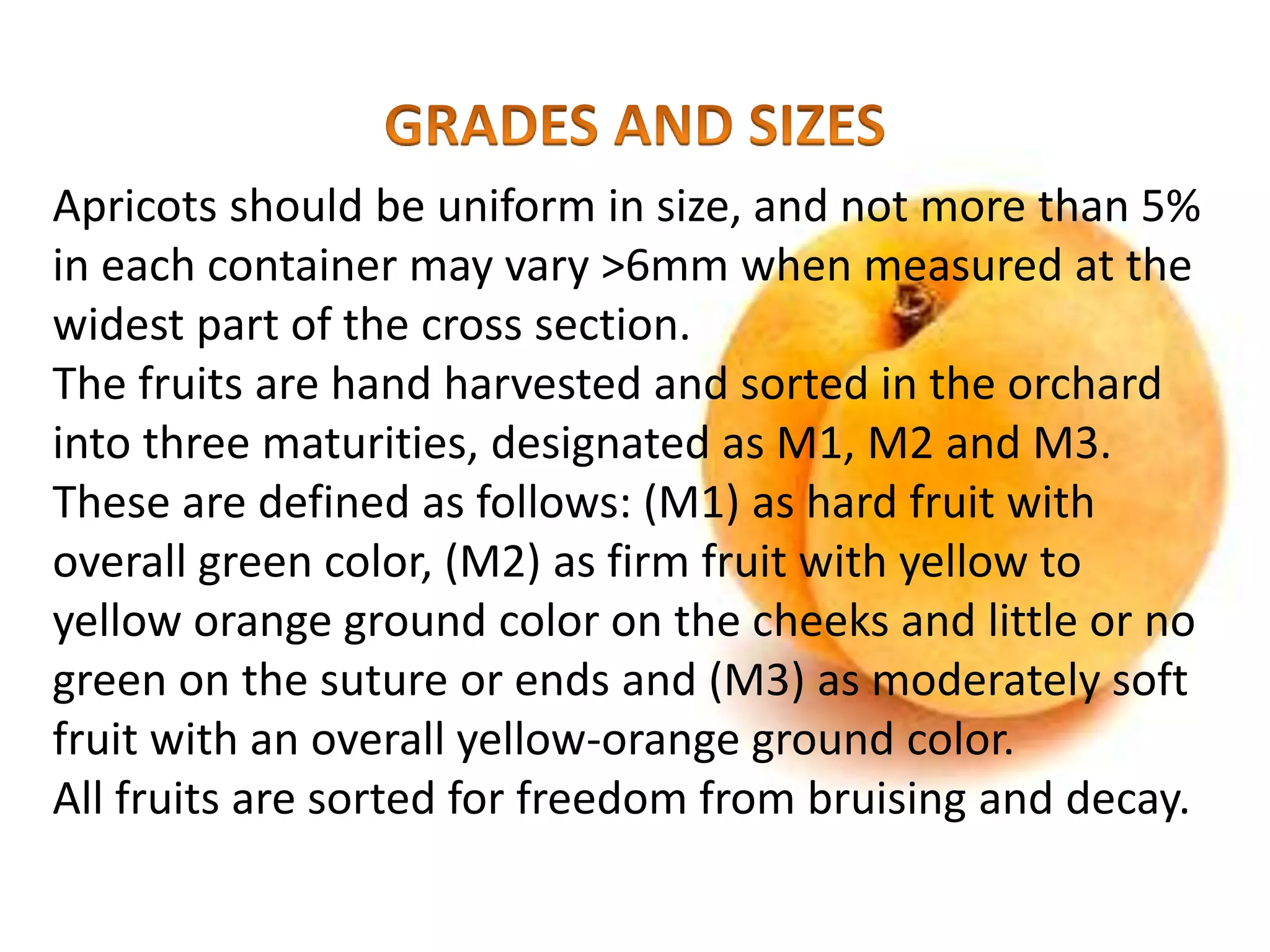 Post Harvest Handling of Apricot.pptx