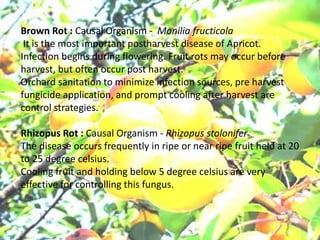 Post Harvest Handling of Apricot.pptx