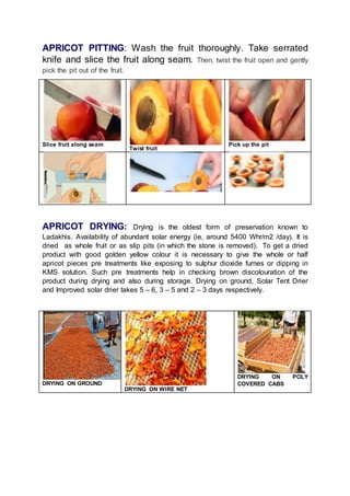 APRICOT (Prunus armeniaca) PROCESSING AND VALUE ADDITION | DOCX