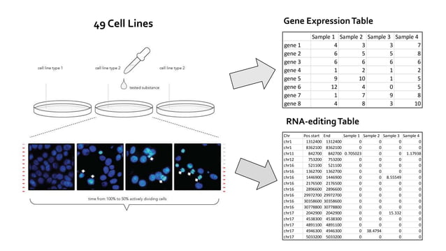 Mastering RNA-Seq (NGS Data Analysis) - A Critical Approach To ...
