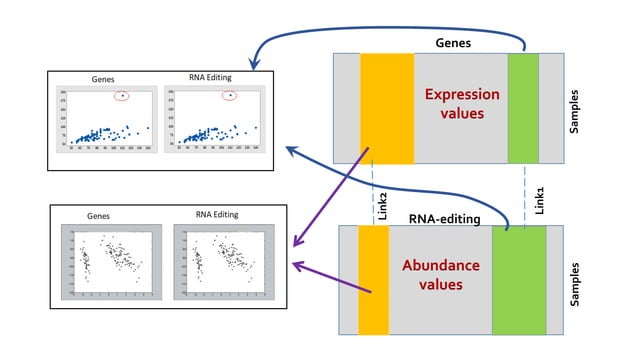 Mastering Rna Seq Ngs Data Analysis A Critical Approach To Transcriptomic Data Analysis Ppt