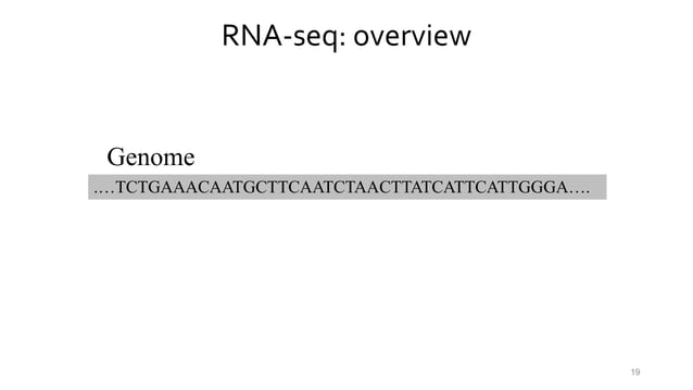 Mastering Rna Seq Ngs Data Analysis A Critical Approach To Transcriptomic Data Analysis Ppt