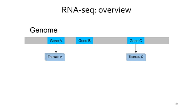 Mastering RNA-Seq (NGS Data Analysis) - A Critical Approach To Transcriptomic Data Analysis | PPT