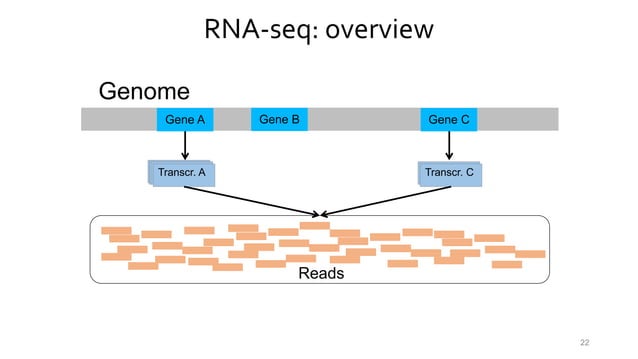 Mastering Rna Seq Ngs Data Analysis A Critical Approach To Transcriptomic Data Analysis Ppt