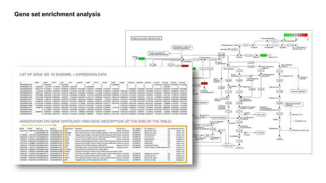 Mastering Rna Seq Ngs Data Analysis A Critical Approach To Transcriptomic Data Analysis Ppt