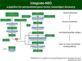 Cancer Immunogenomics | PDF