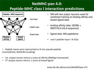 Cancer Immunogenomics | PDF