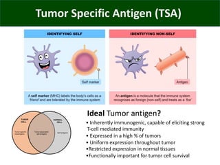 Cancer Immunogenomics | PDF