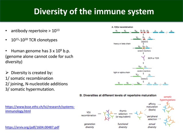 Cancer Immunogenomics | PPT