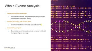 Exome Analysis with VS-CNV and VSClinical: Updated Strategies and ...