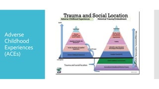"Becoming Trauma-Informed: Why Should We Care?" | PPTX