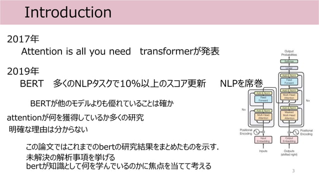 A primer in bertology what we know about how bert works | PPT